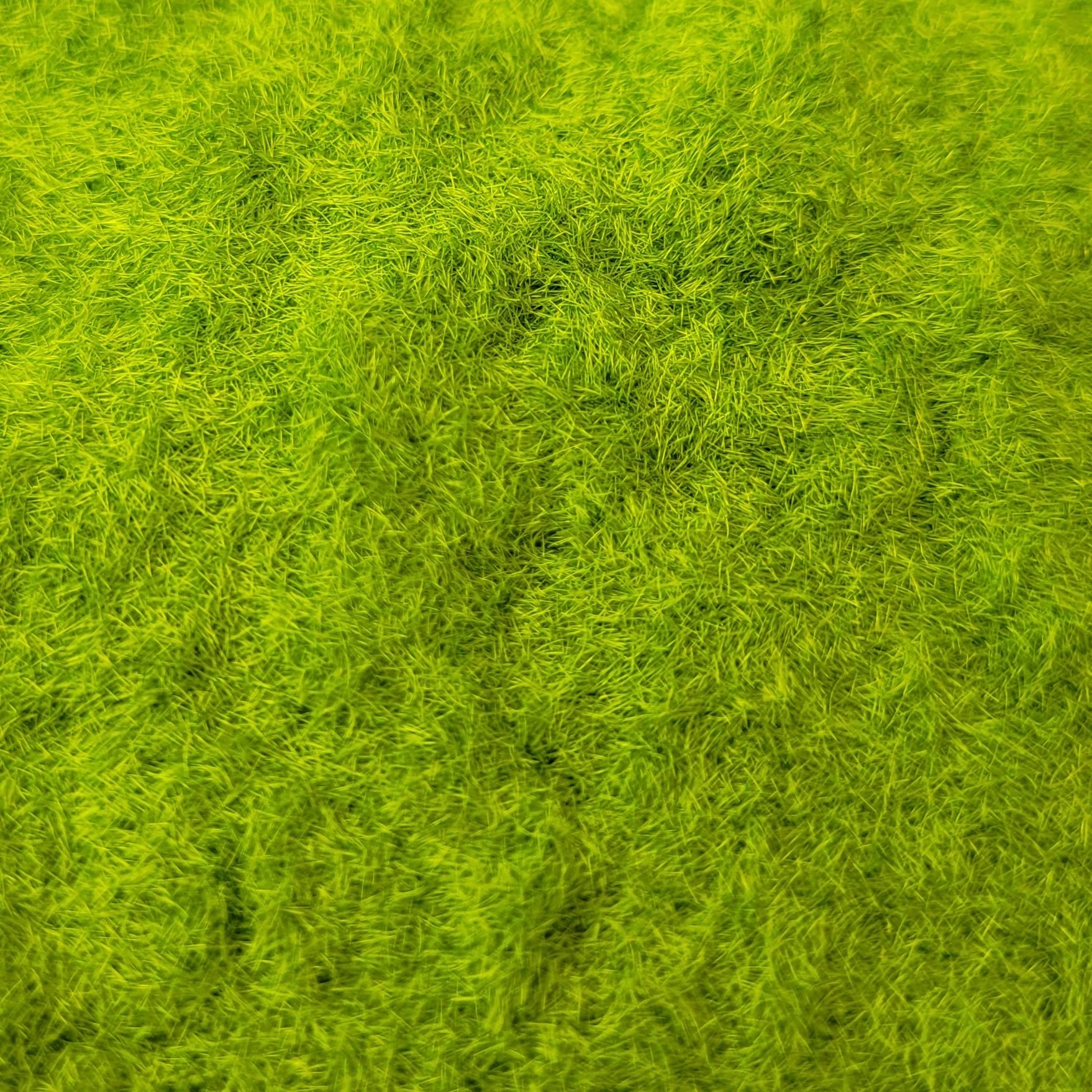 30g-1-5MM-Miniature-Scene-Model-Turf-Static-Grass-Flock-Powder-For ...