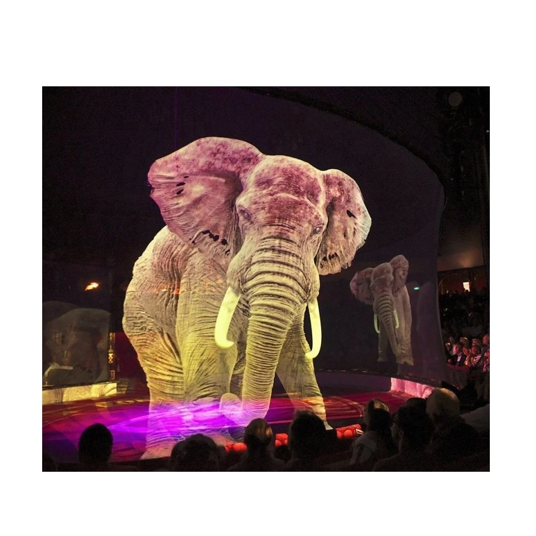 3m-1m-Large-Hologram-Gauze-Projector-Screen-3D-Holographic-Stage ...