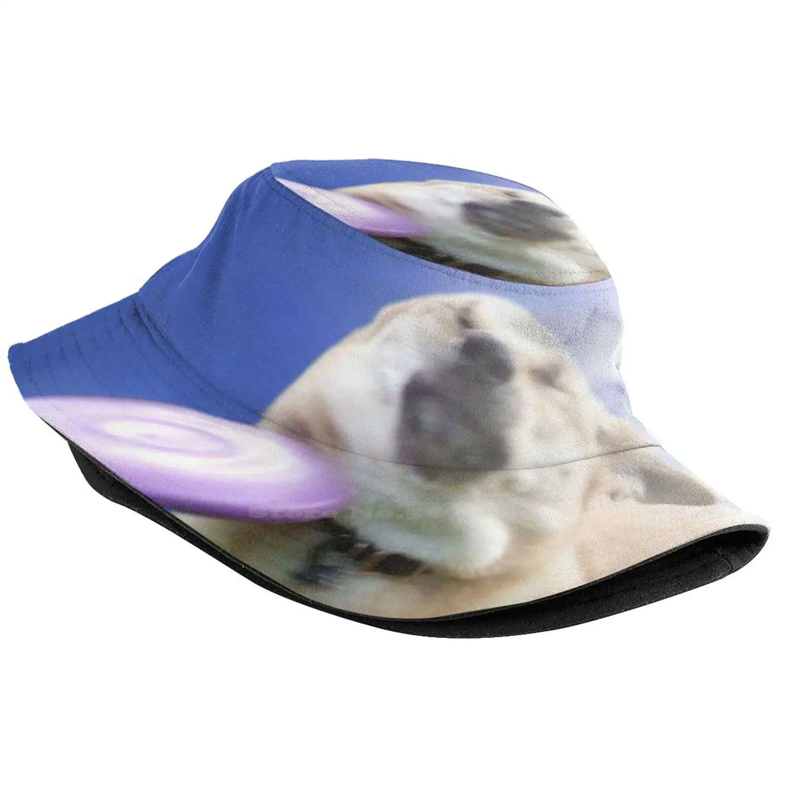 Lobster Dog Hat