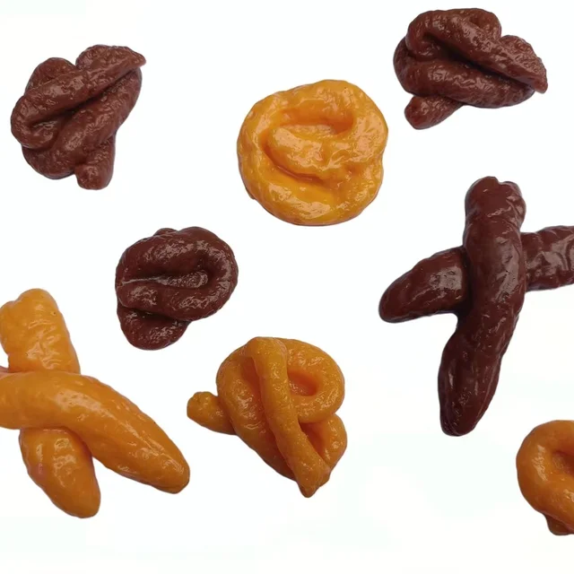 Xue Little Case Store