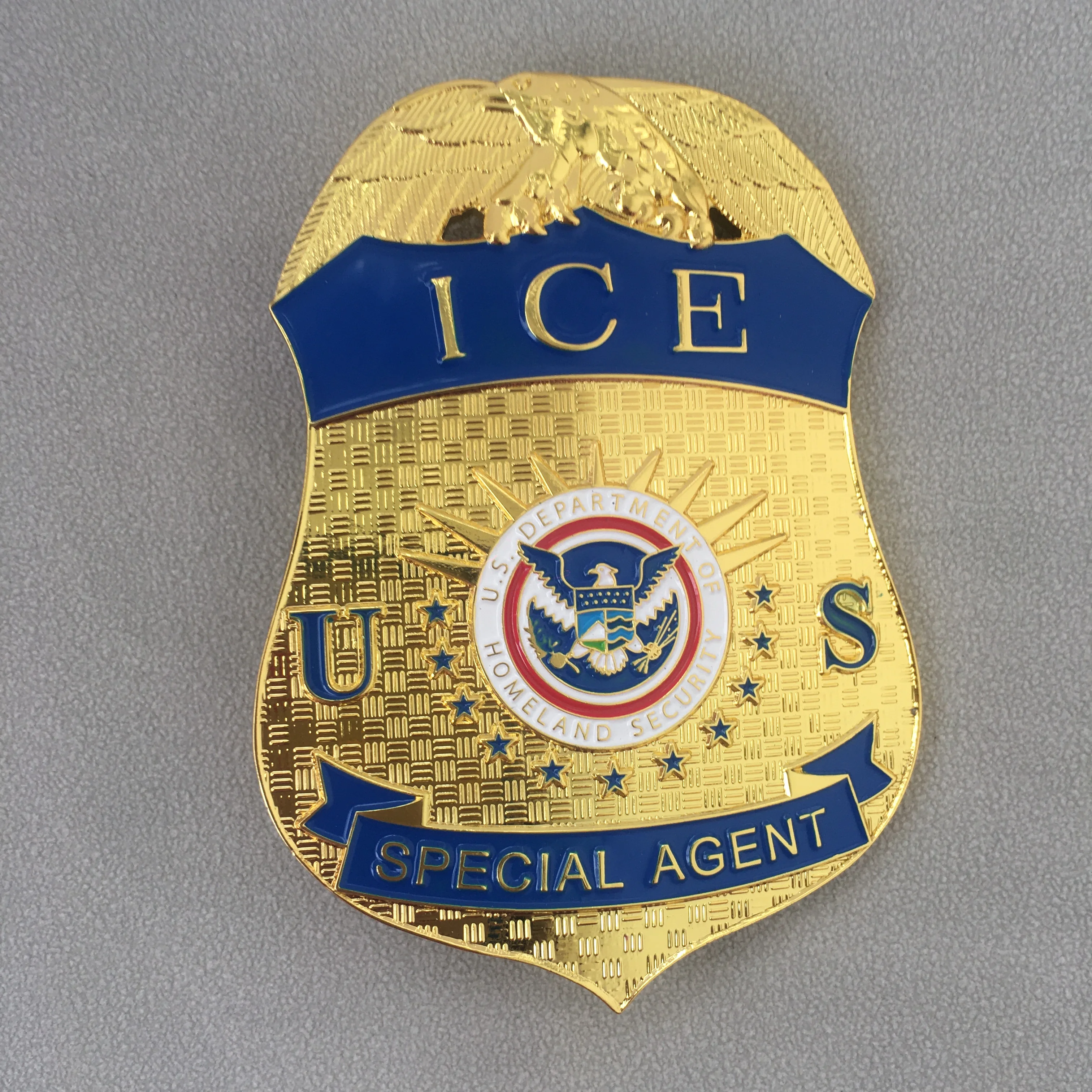 Dhs Ice Logo