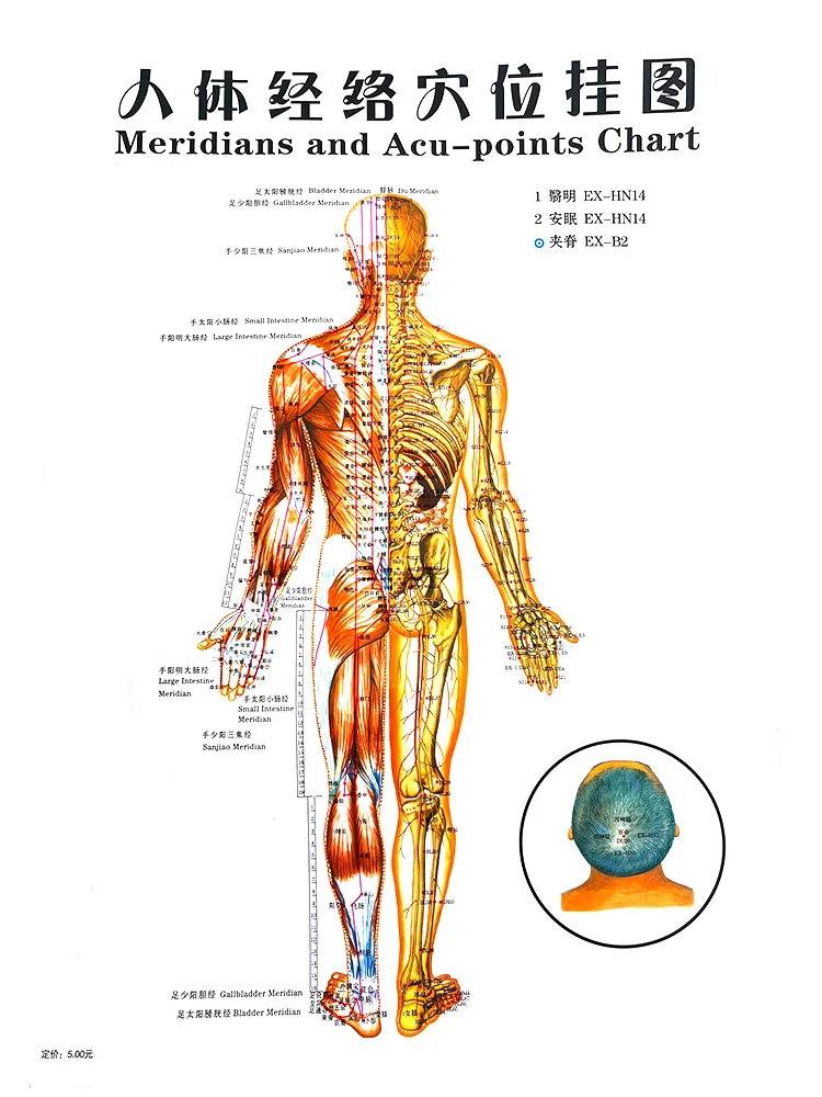 Acupuncture Map