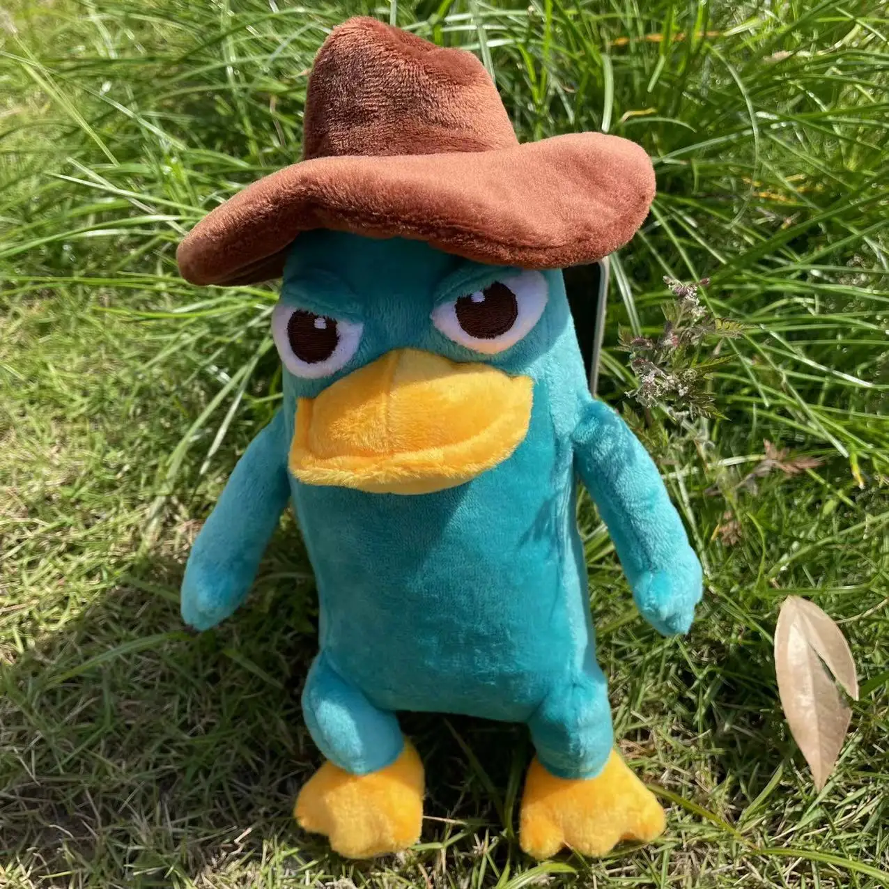 Perry The Platypus As A Baby Stuffed Animal