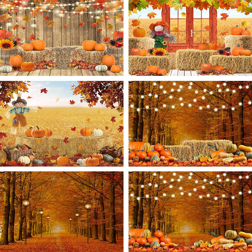 Autumn-Farm-Harvest-Field-Pumpkin-Haystack-Barn-Newborn-Portrait-Fall ...