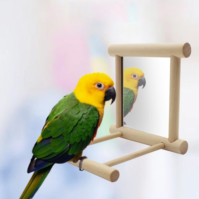 Bird Mirror with Perch Parakeet Mirror for Cage Bird Toys Parrot Cage ...