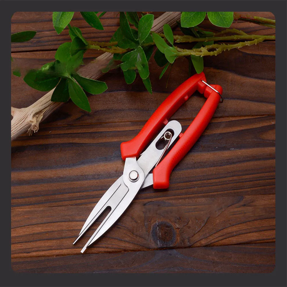 Double-edged Fruit Picking Scissors Garden Pruner Shears Citrus Tree ...