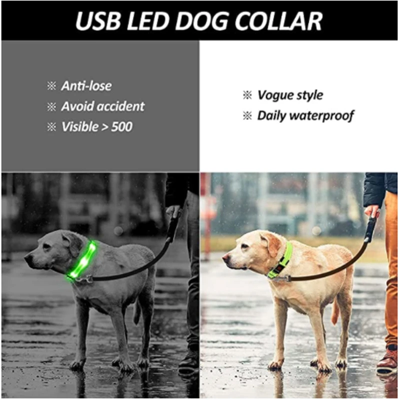 Day Glo Collar Lead