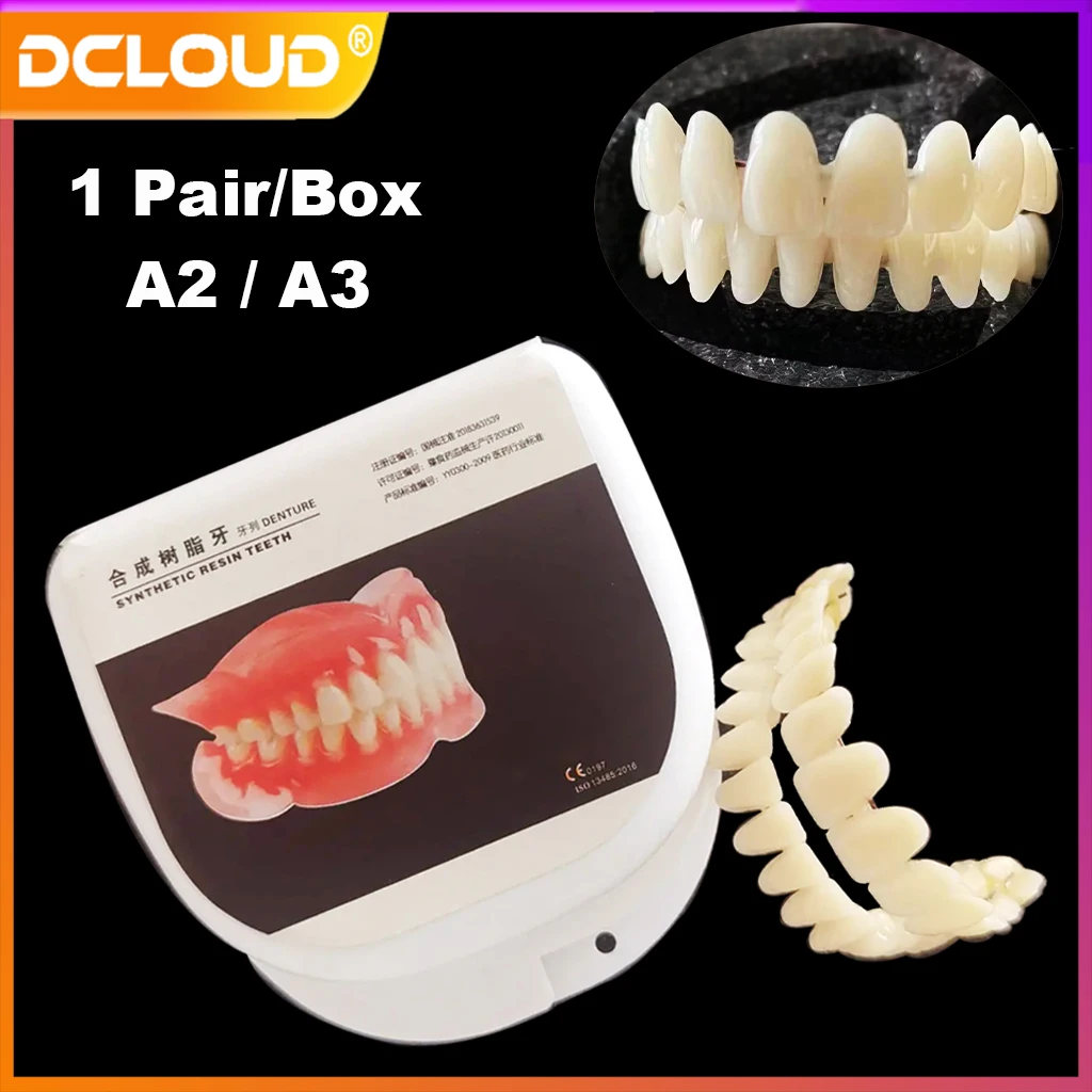 A2/A3 1Pair Resin Denture False Teeth Dental Training Models Resin ...