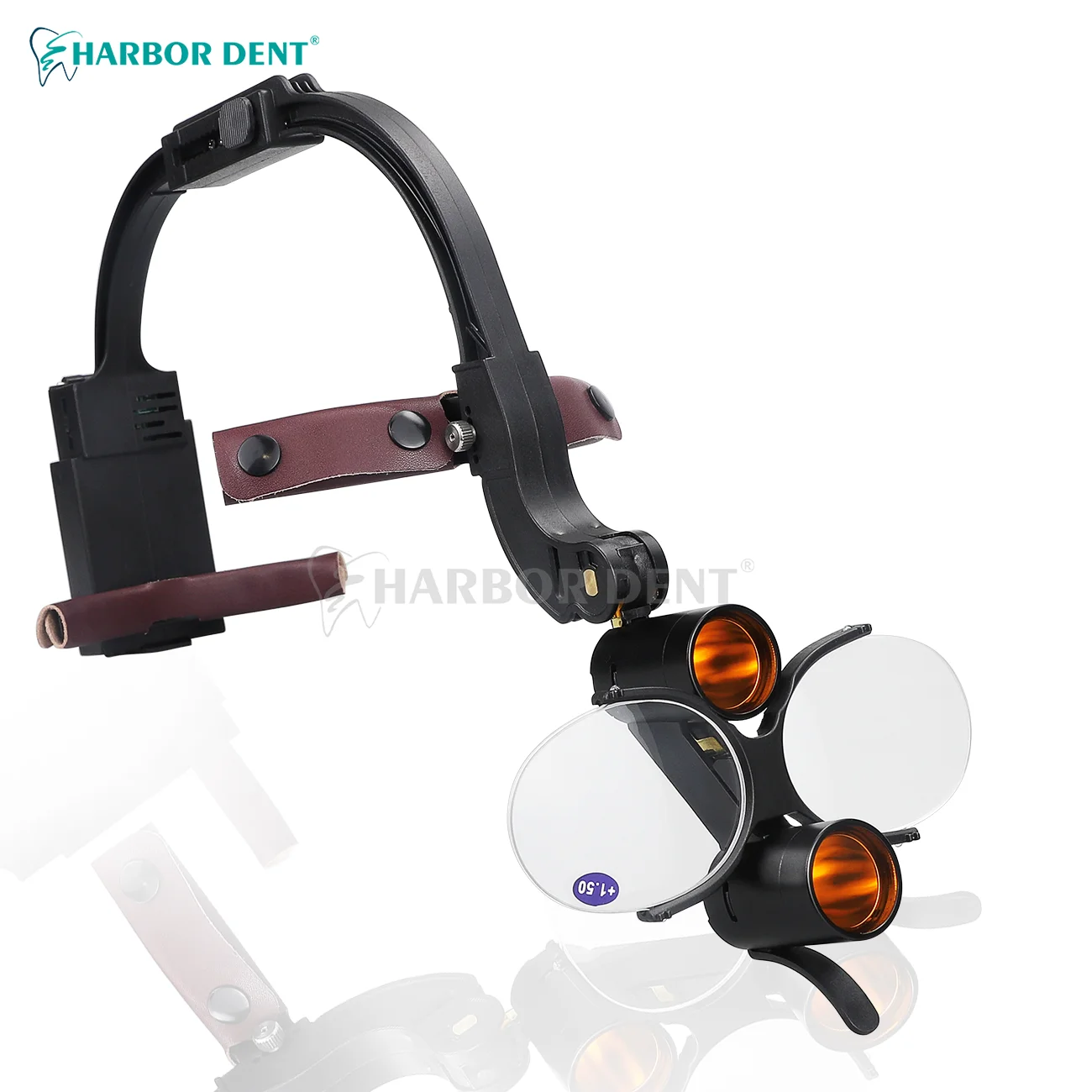 Aluminum-Box-Dental-Loupe-Magnification-Binocular-Surgery-Surgical ...