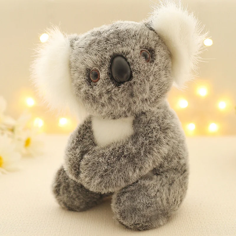 Funny Koala Bear
