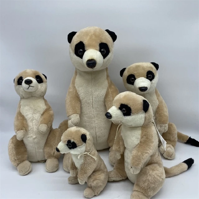 Newborn Meerkat Plush