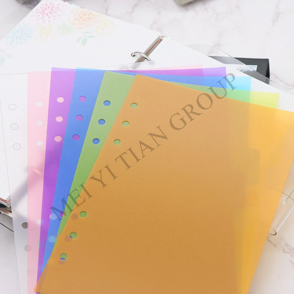 Plastic Folder With Dividers