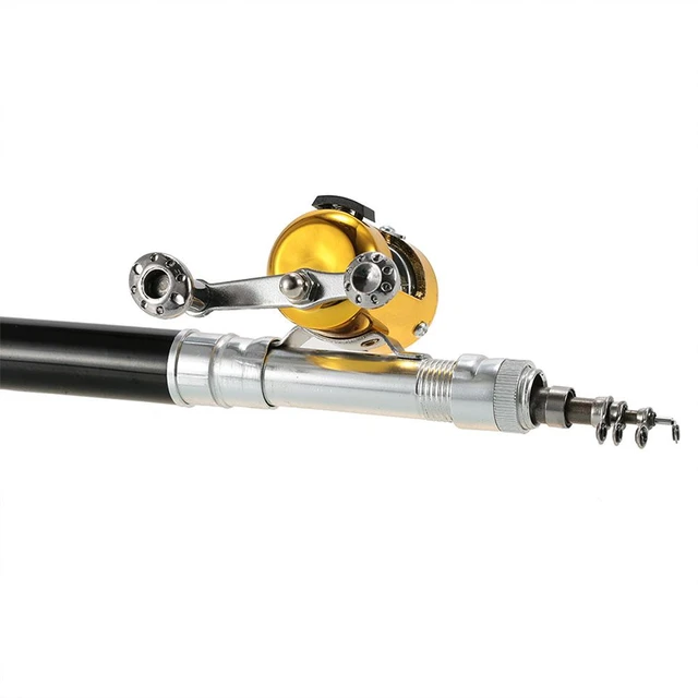 Fishing Pole Reel Types