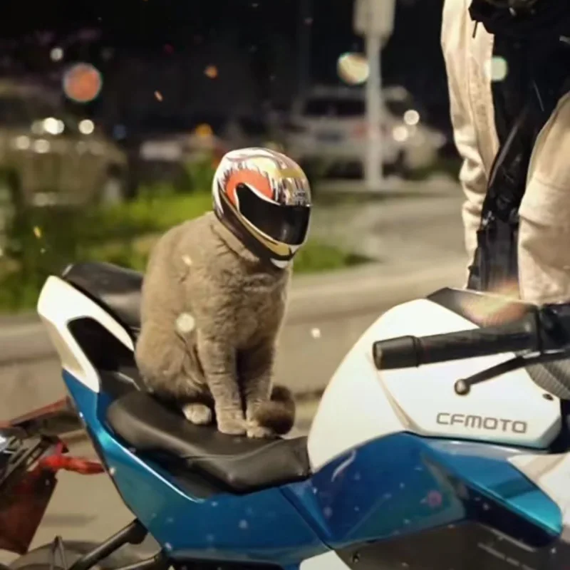 Pet Accessories Motorcycle Helmet For Cats Cosplay Cool Goods Funny ...