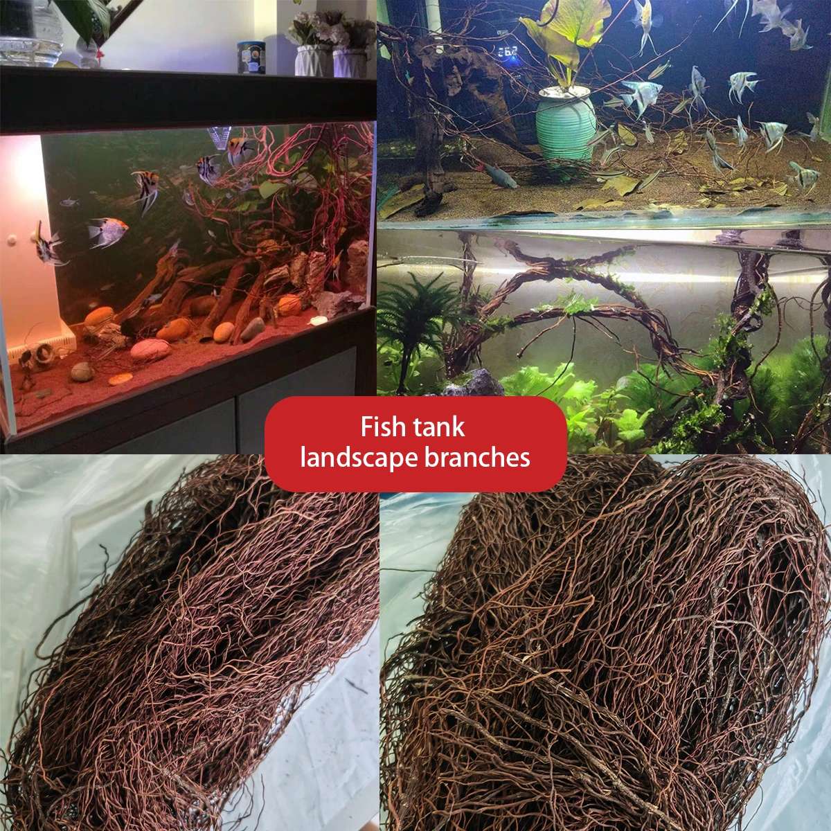 Store Home Products Feedback