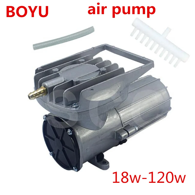 Aquarium online Store