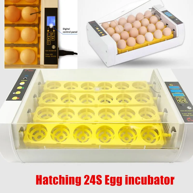 Egg-Incubator-110V-220V-Brooder-Bird-Quail-Hatchery-Machine-Digital-24 ...