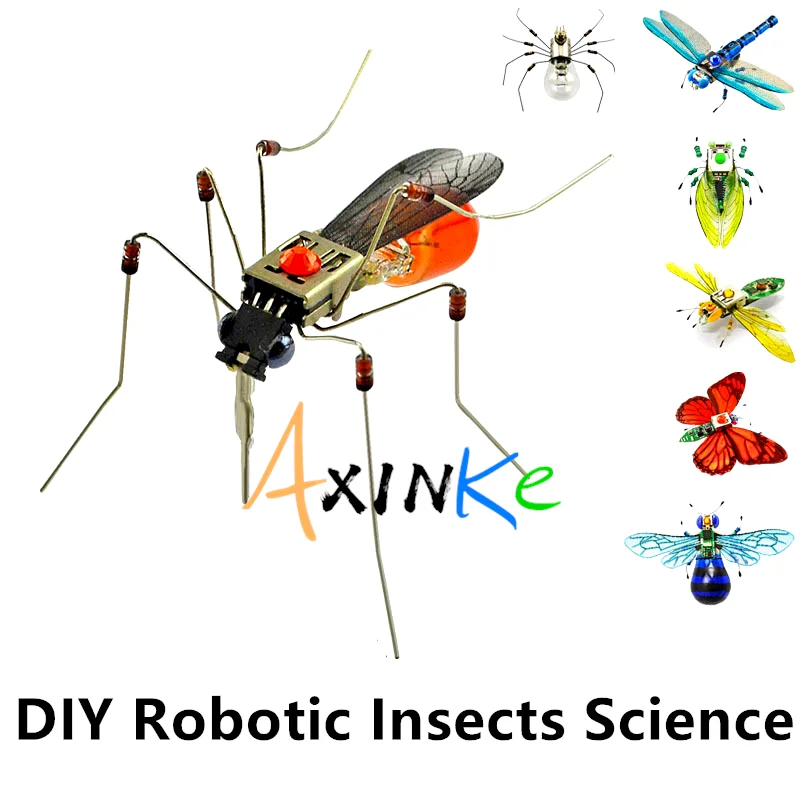 DIY-Robotic-Insects-Science-Invention-Electronic-Animal-for-School ...