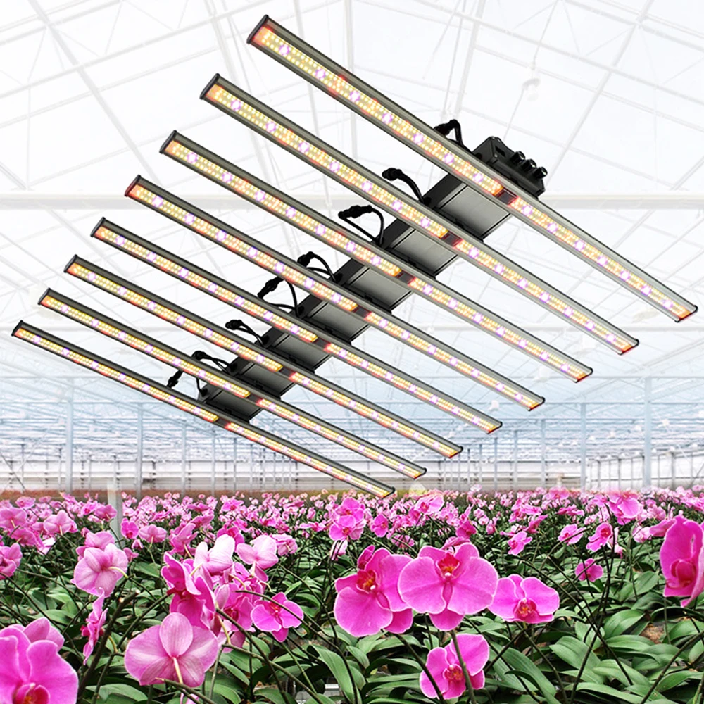 2024-Latest-Phytolamp-6Bar-8Bar-10Bar-12Bar-Quantum-tech-LED-Grow-Light ...