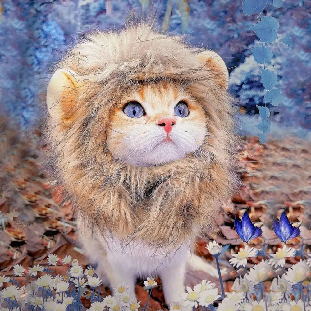 Lion Costume For Cats