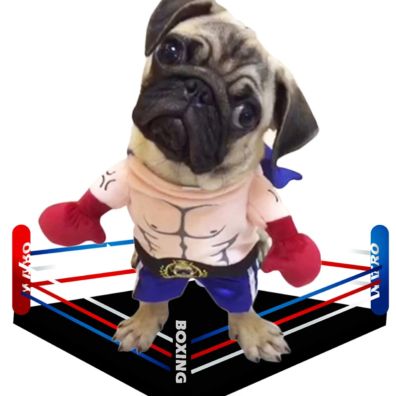 Costumes For Boxer Dogs