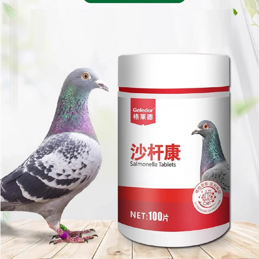 Pigeon salmonella pigeon special conditioning diarrhea watery green ...