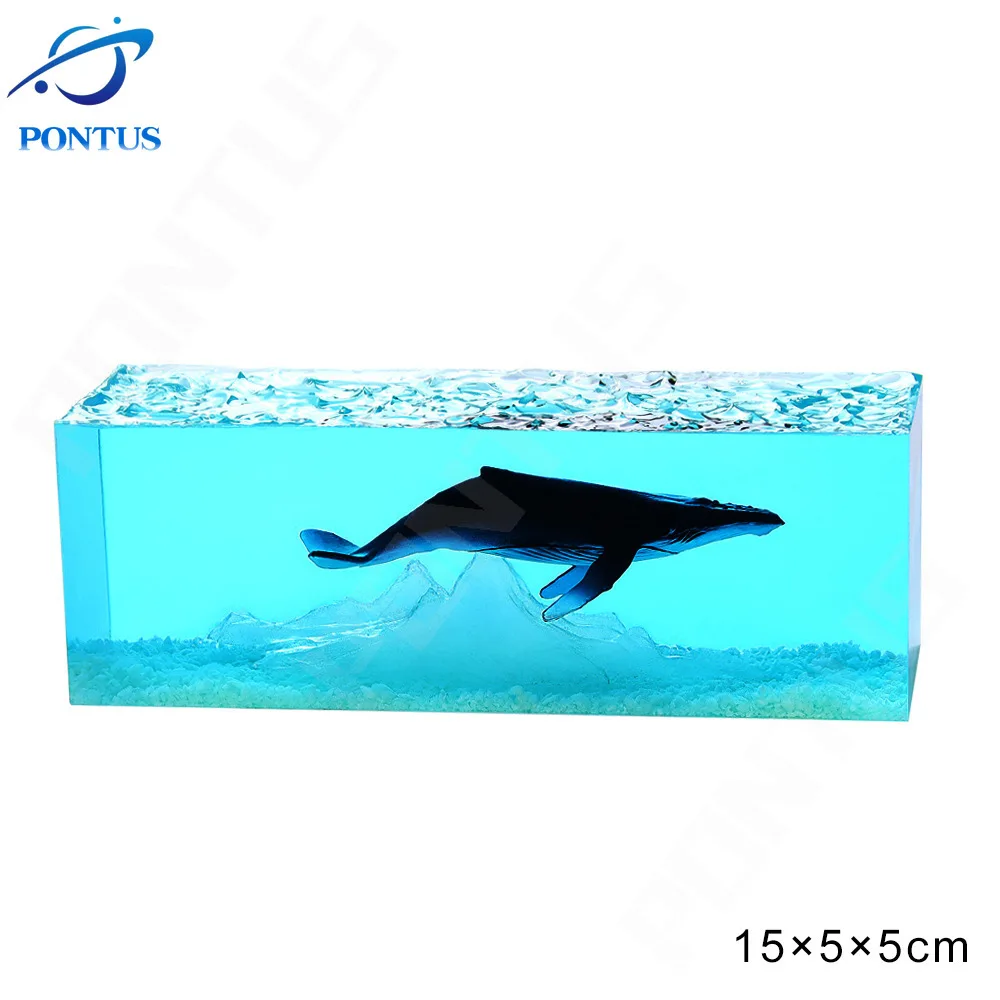 Humpback Whale Craft