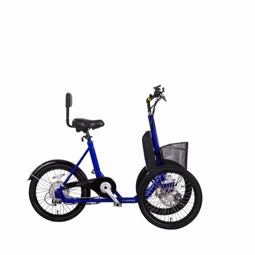 electric-2-wheel-adult-cargo-tricycle-with-front-two-wheel-for-family ...