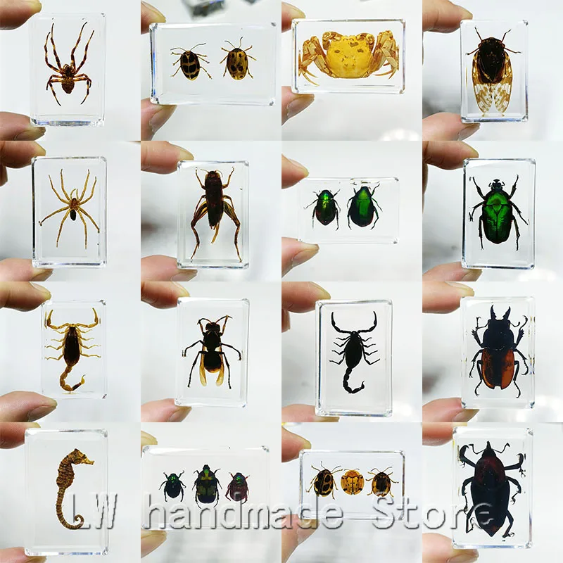 Store Home Products Summer Sale Feedback