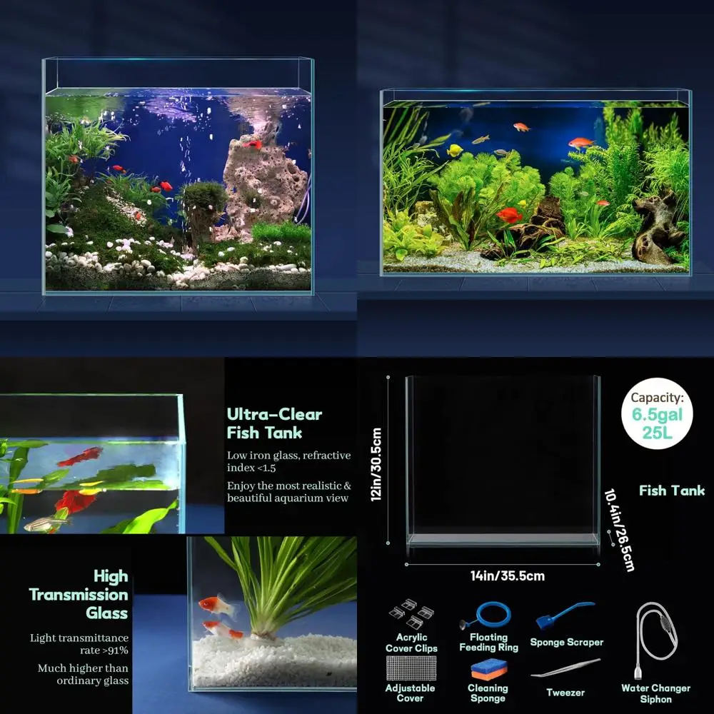 Snails for Betta Tank: A Complete Guide to Choosing the Right Snails ...