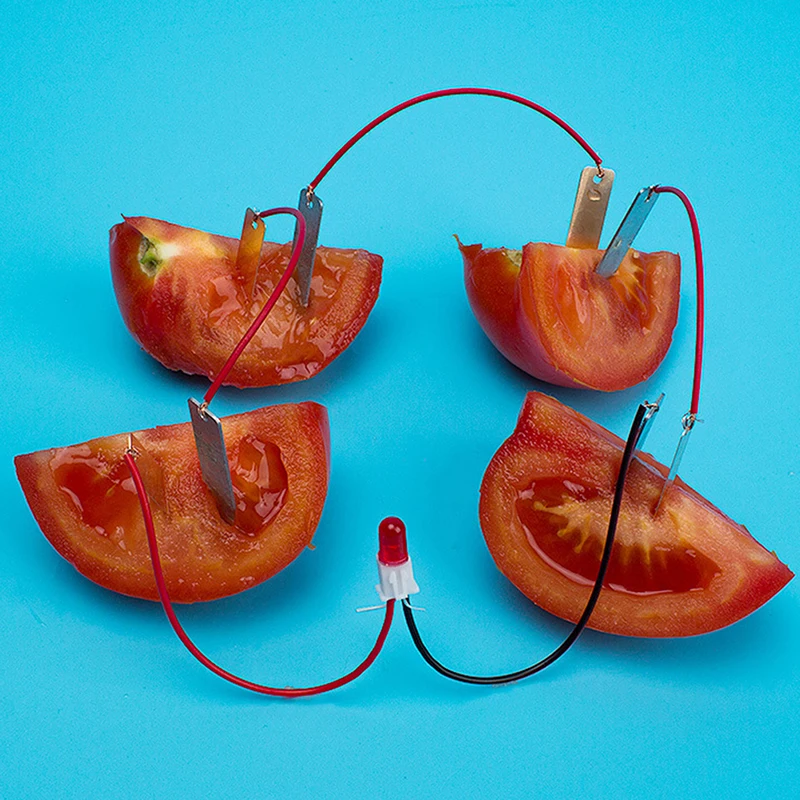 Hot-Bio-Energy-Science-Kit-Potato-Fruit-Supply-Electricity-Experiments ...