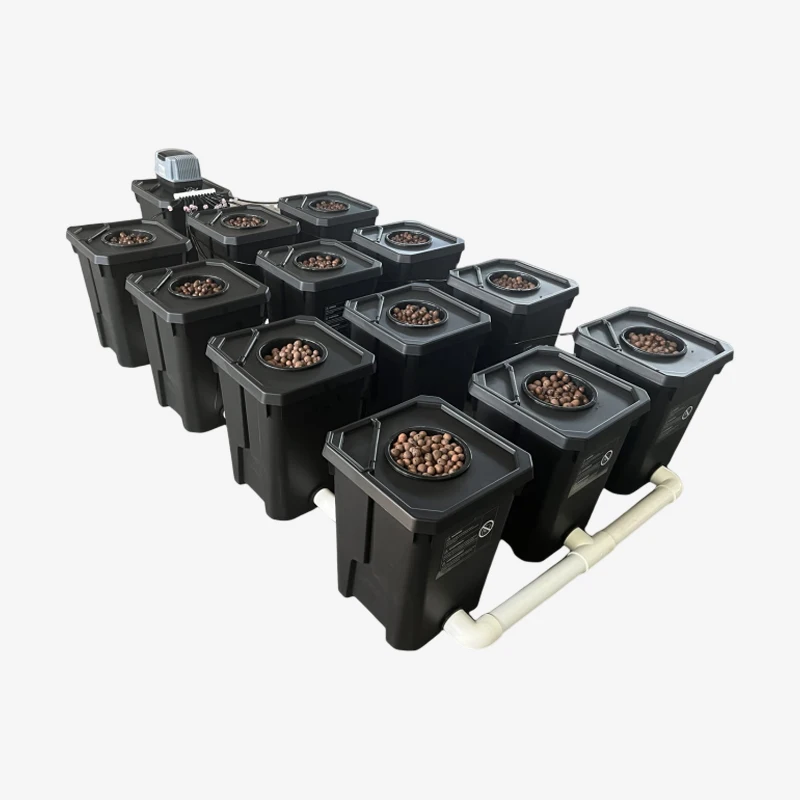 6gallon-12-buckets-recirculating-Hydroponic-system-RDWC-hydroponic ...