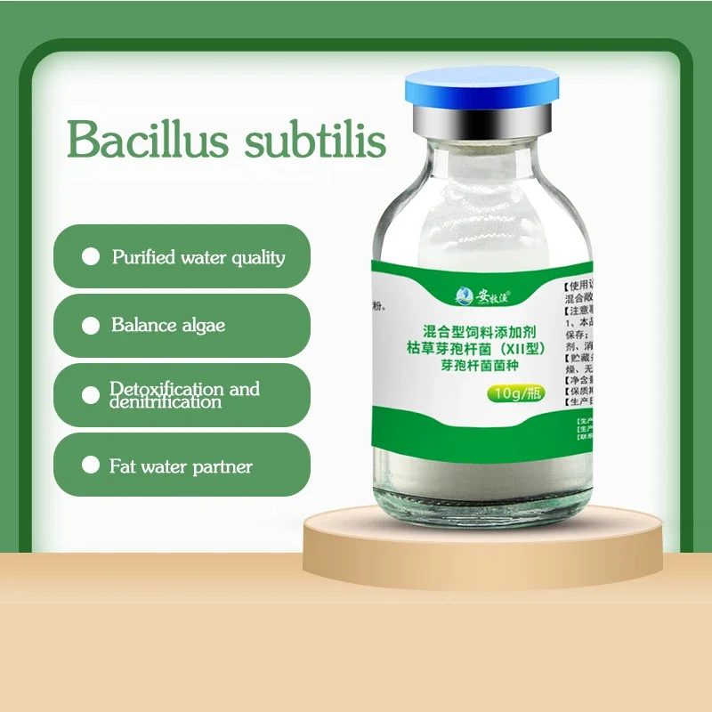 Bacillus-subtilis-strain-powder-aquaculture-special-raw-powder-fish ...