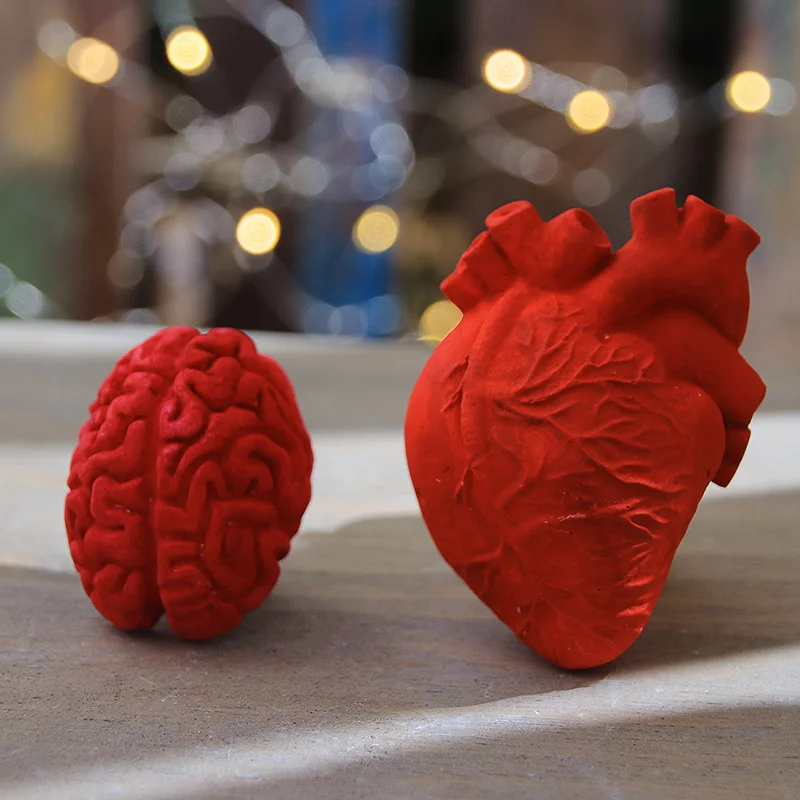 Heart Brain Silicone Mold | Silicone Chocolate Moulds | Mini Brain ...