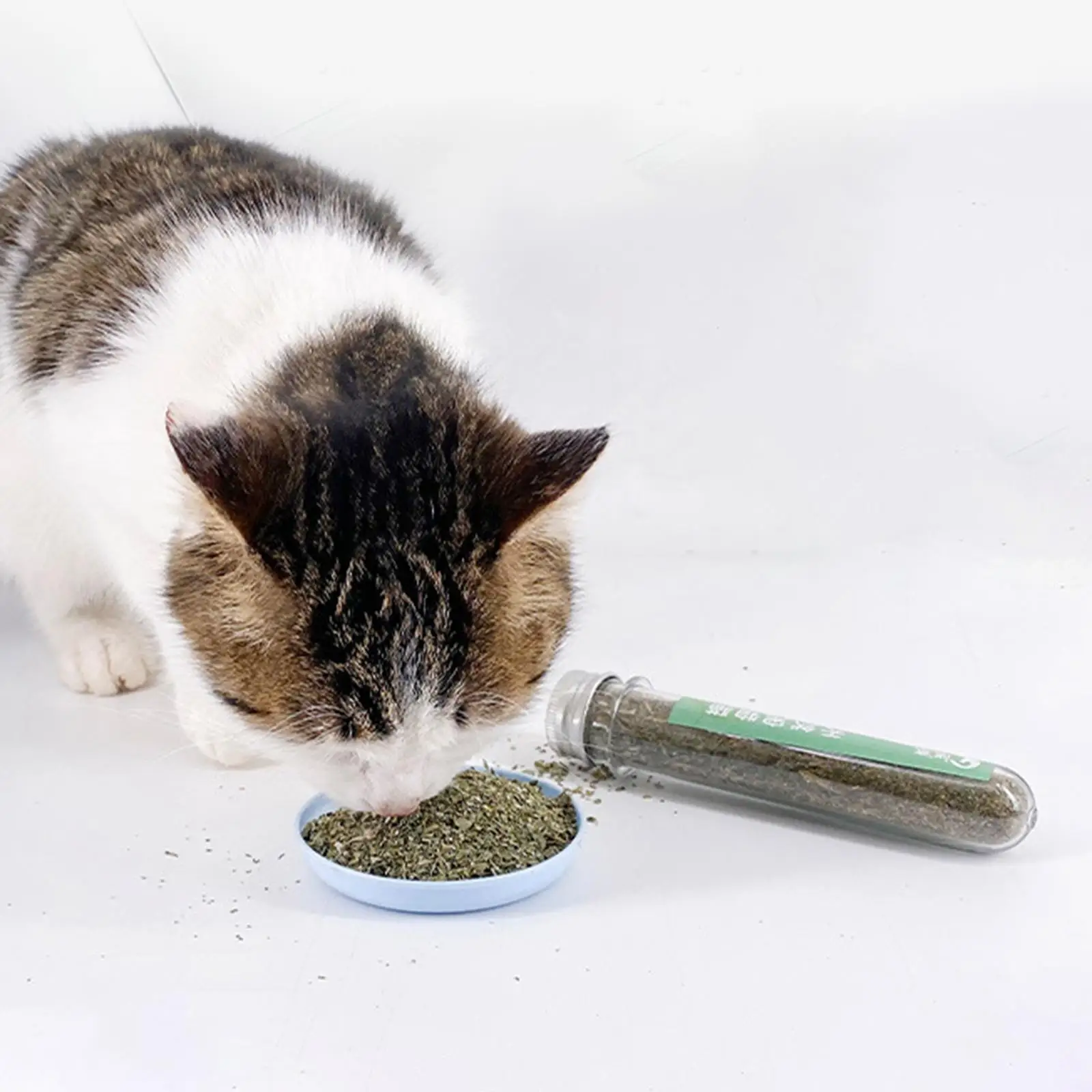 Catnip-Powder-for-Cats-Strong-Catnip-Treats-Catnip-Treats-for-Indoor ...