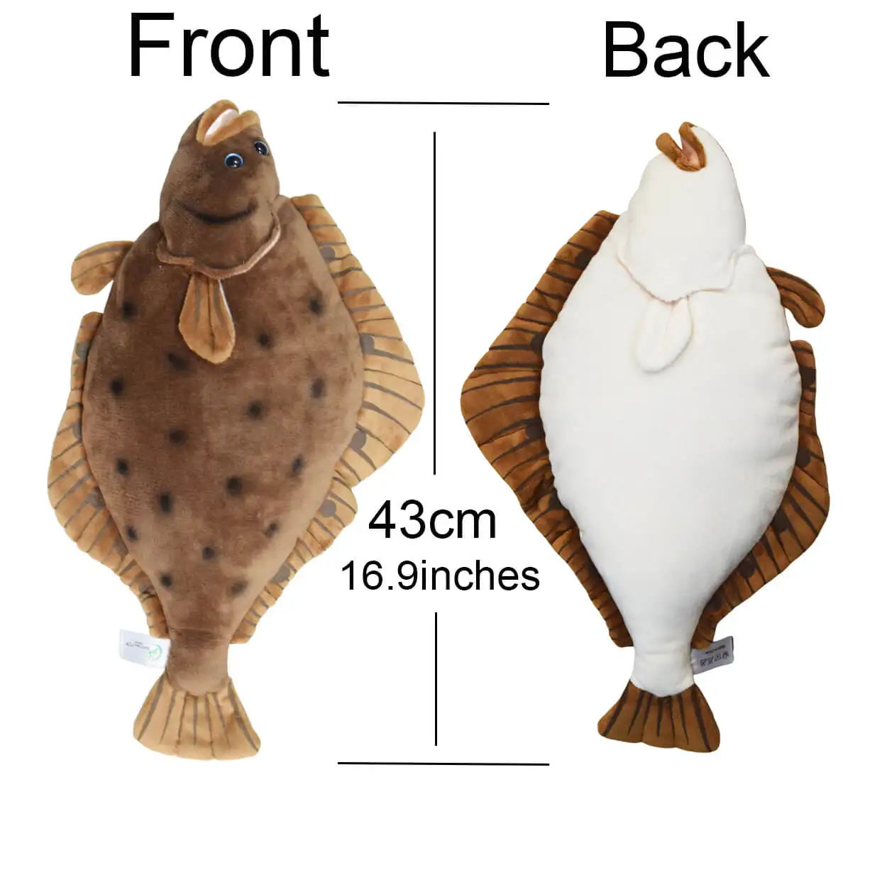 Atlantic Halibut Fish