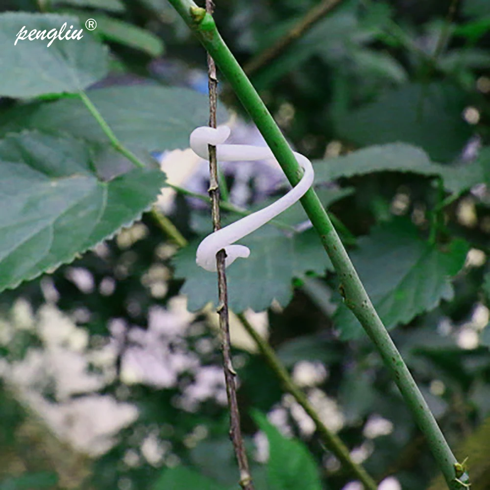 100-Pcs-Vines-Fastener-Tied-Buckle-Hook-Horticultural-Plant-Vegetable ...