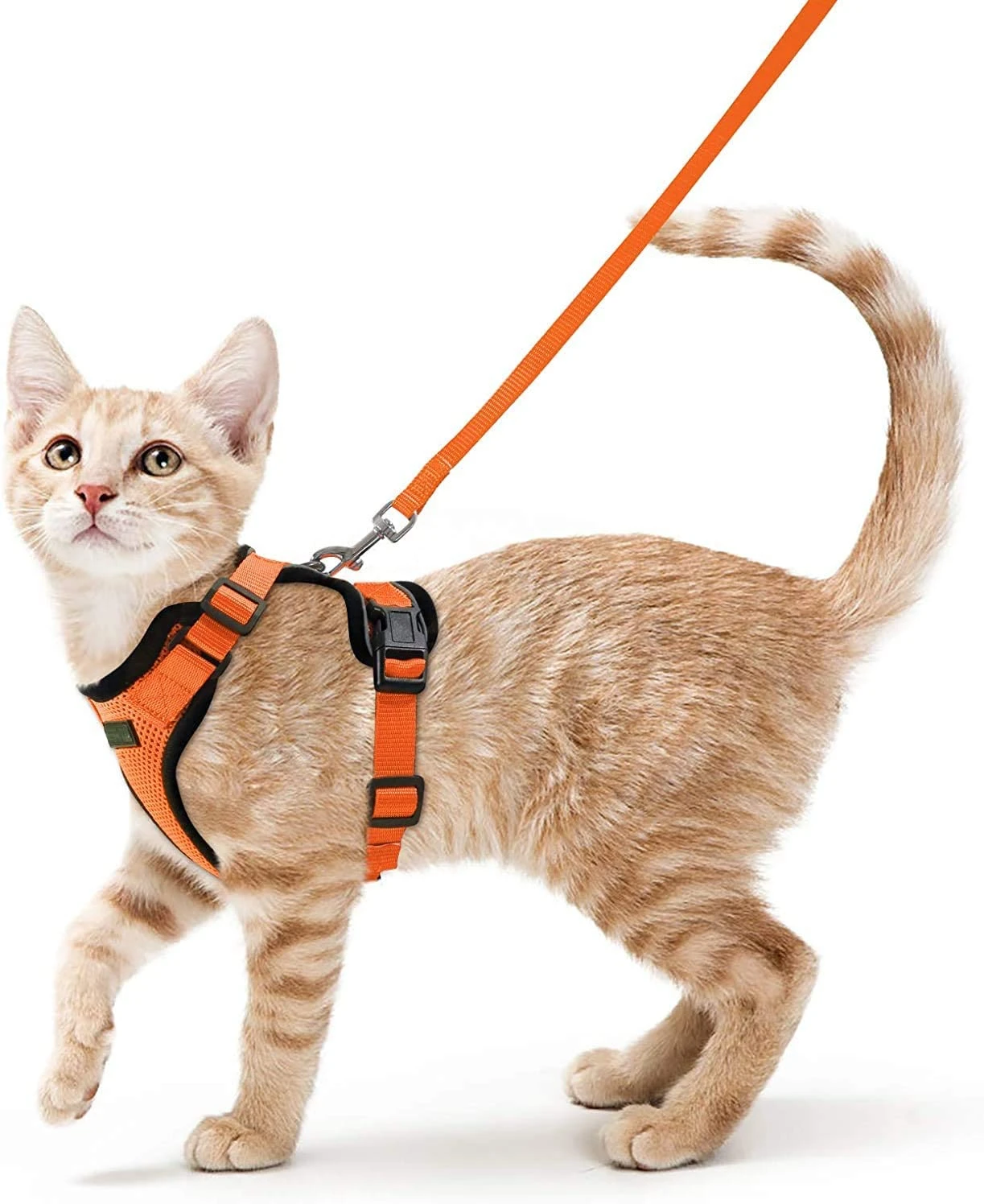 Arn-s-e-trela-do-gato-de-atuban-para-caminhar-arreios-ajust-veis-macios ...