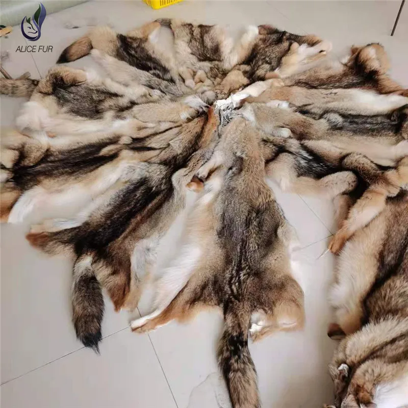Real Genuine Soft Coyote Fur Pelt Natural Coyote Hide Skin For Hat ...