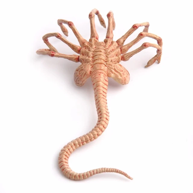 Store Home Products Getaway Deals Feedback