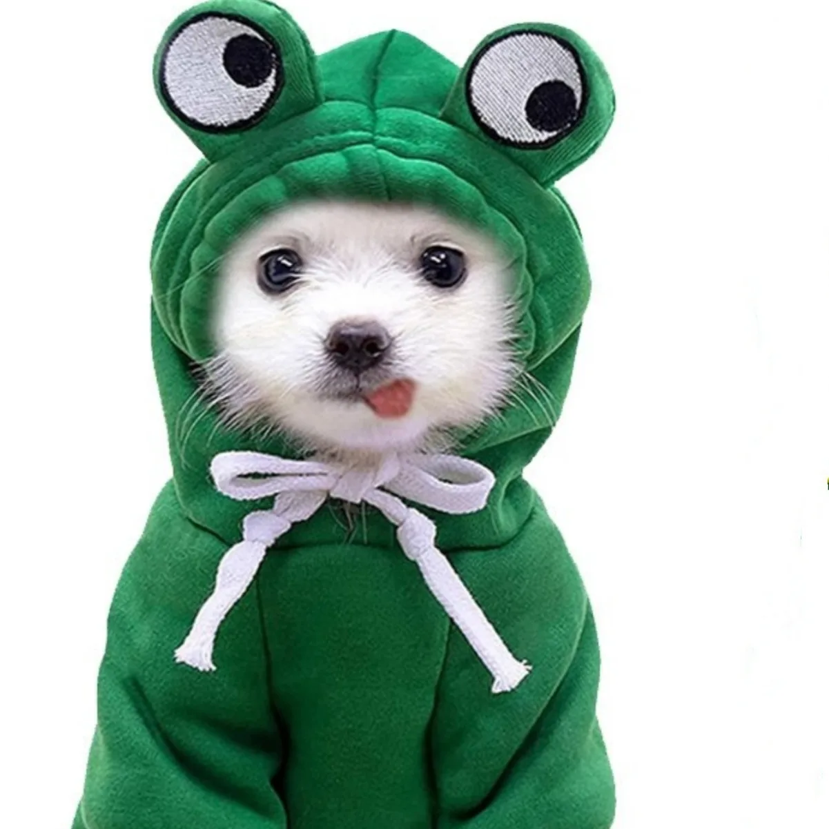Adorable-Green-Frog-Dog-Sweater-Dog-Coats-Pet-Clothes-Pet-Hooded ...