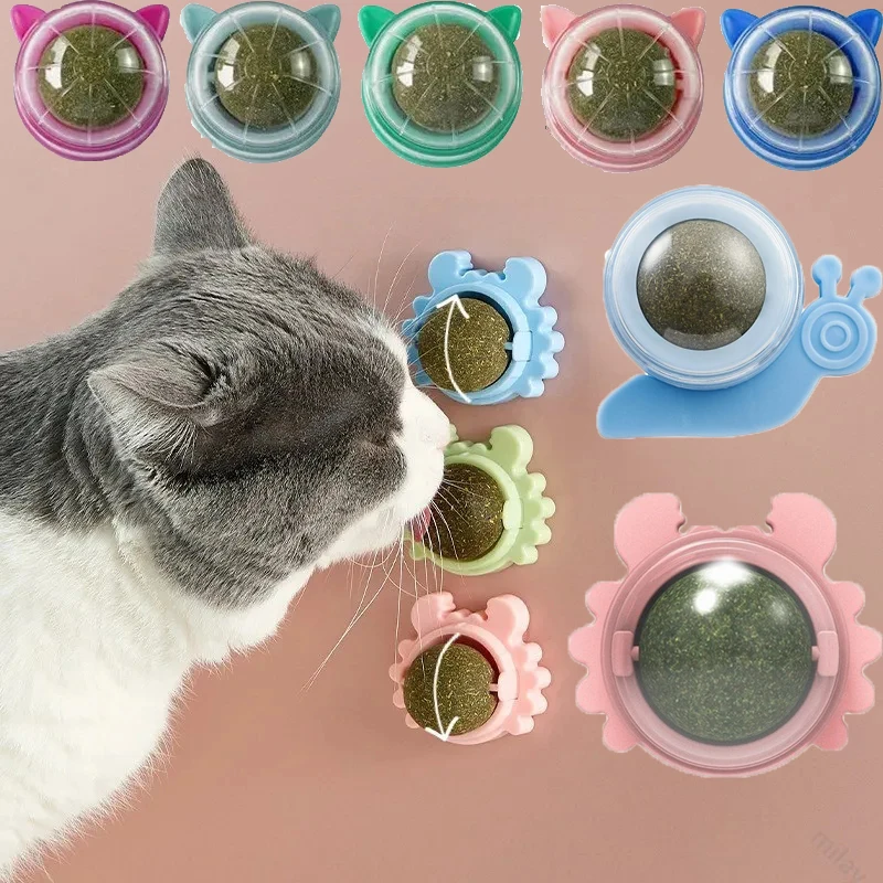 Pet-Catnip-Brinquedos-Comest-veis-Catnip-Ball-Seguran-a-Saud-veis-Cat ...