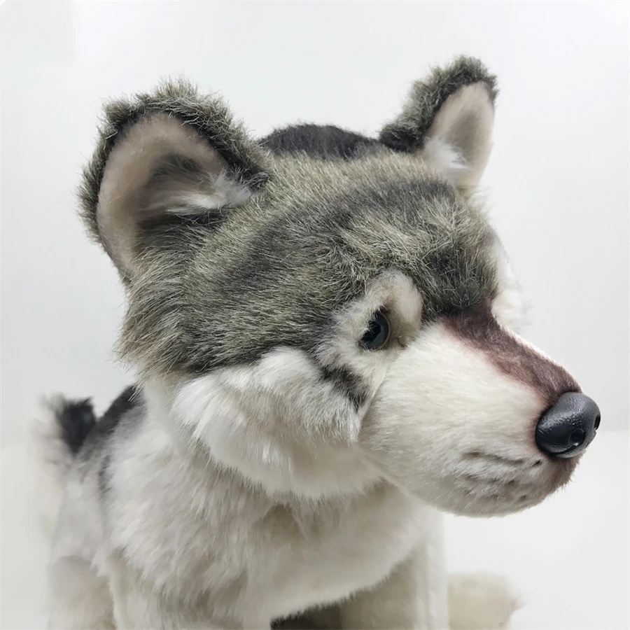 Anime Husky Wolf