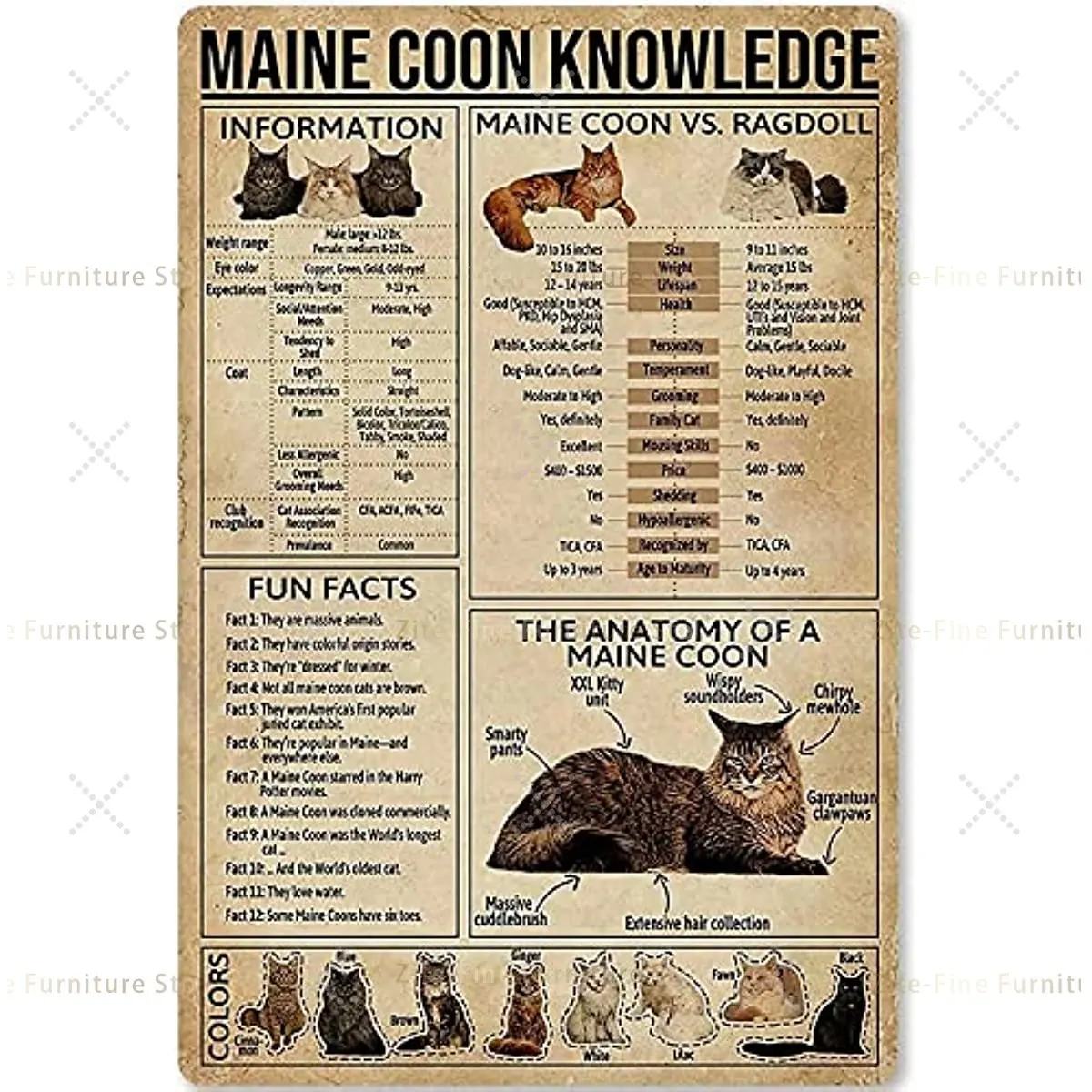 Maine-Coon-Knowledge-Art-Wall-Decor-Retro-Metal-Tin-Signs-The-Anatomy ...