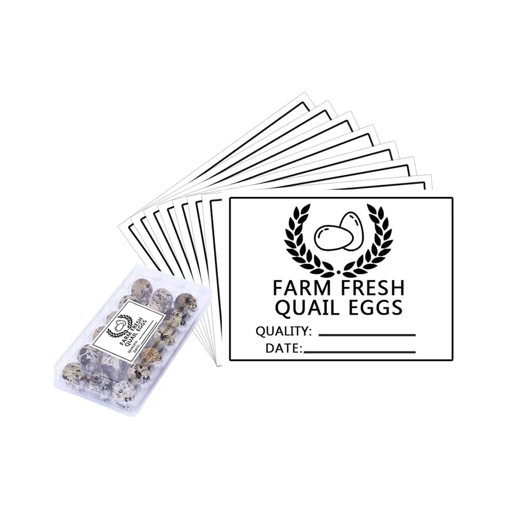 Store Home Products Sale Feedback