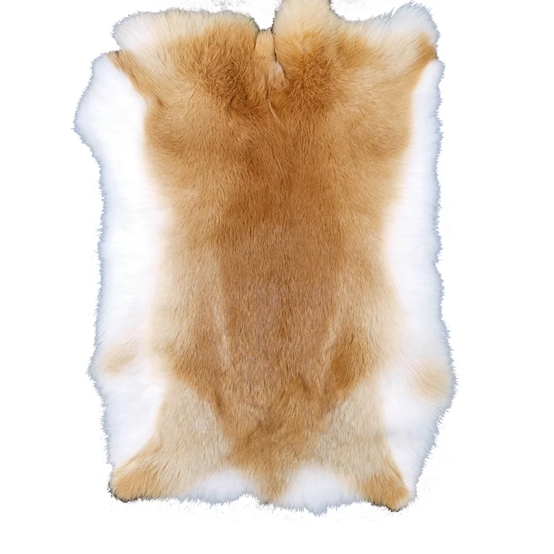 Natural-Rabbit-Skin-Real-Rabbit-Hair-Rex-Rabbit-Skin-Whole-Fluffy ...