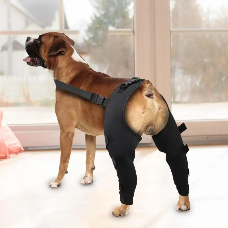 Dog-Hip-Brace-Adjustable-Pet-Dog-Joint-Injury-Supporter-Knee-Pads-Knee ...