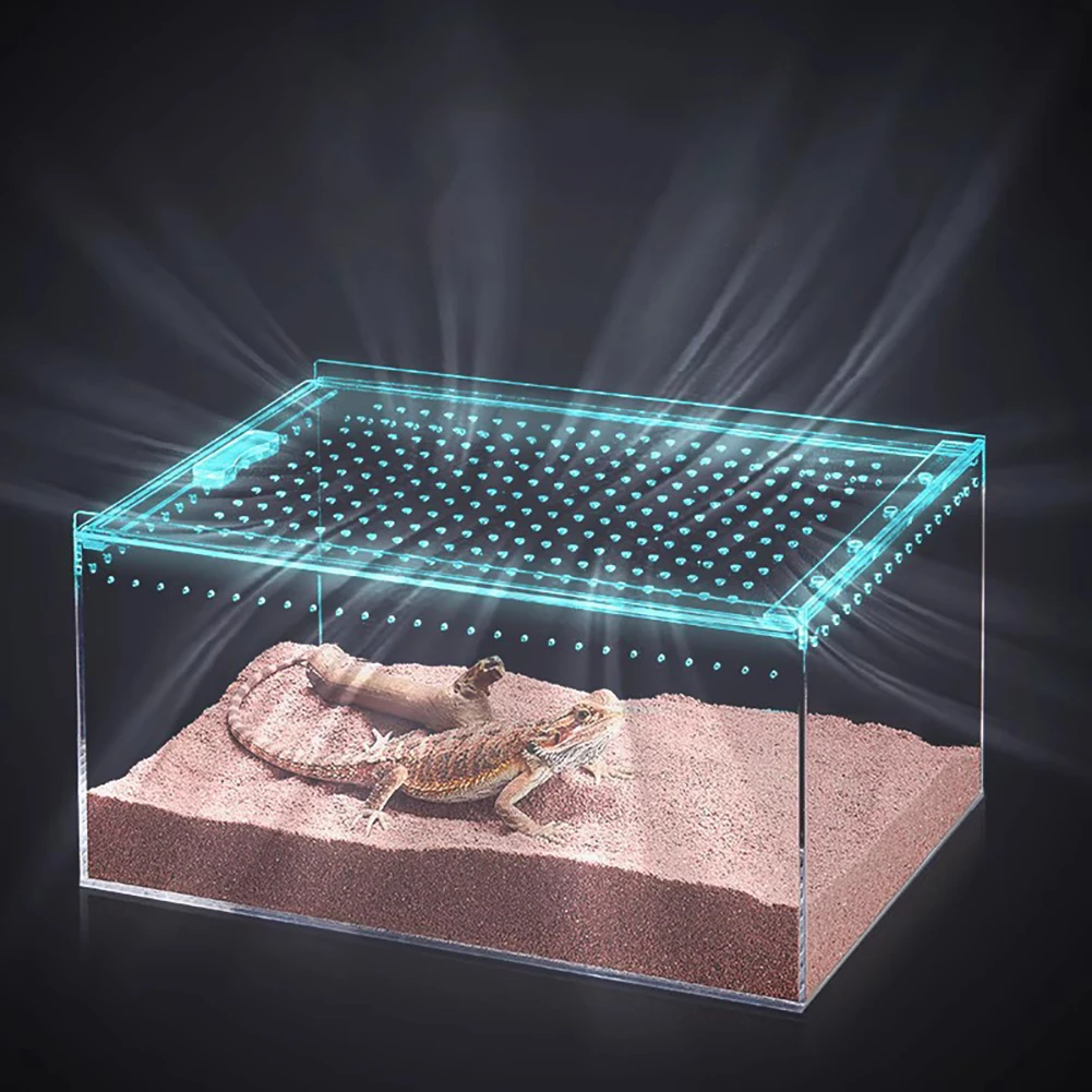 Reptile-Terrarium-Tarantula-Enclosure-Acrylic-Feeding-Tarantula-Habitat ...