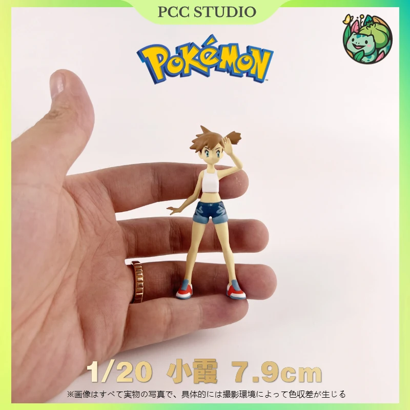 Misty Pokemon Trainer