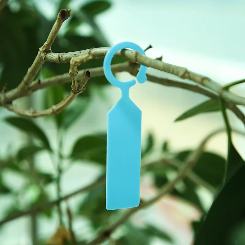 Ring Planting Tag – Everyday Garden